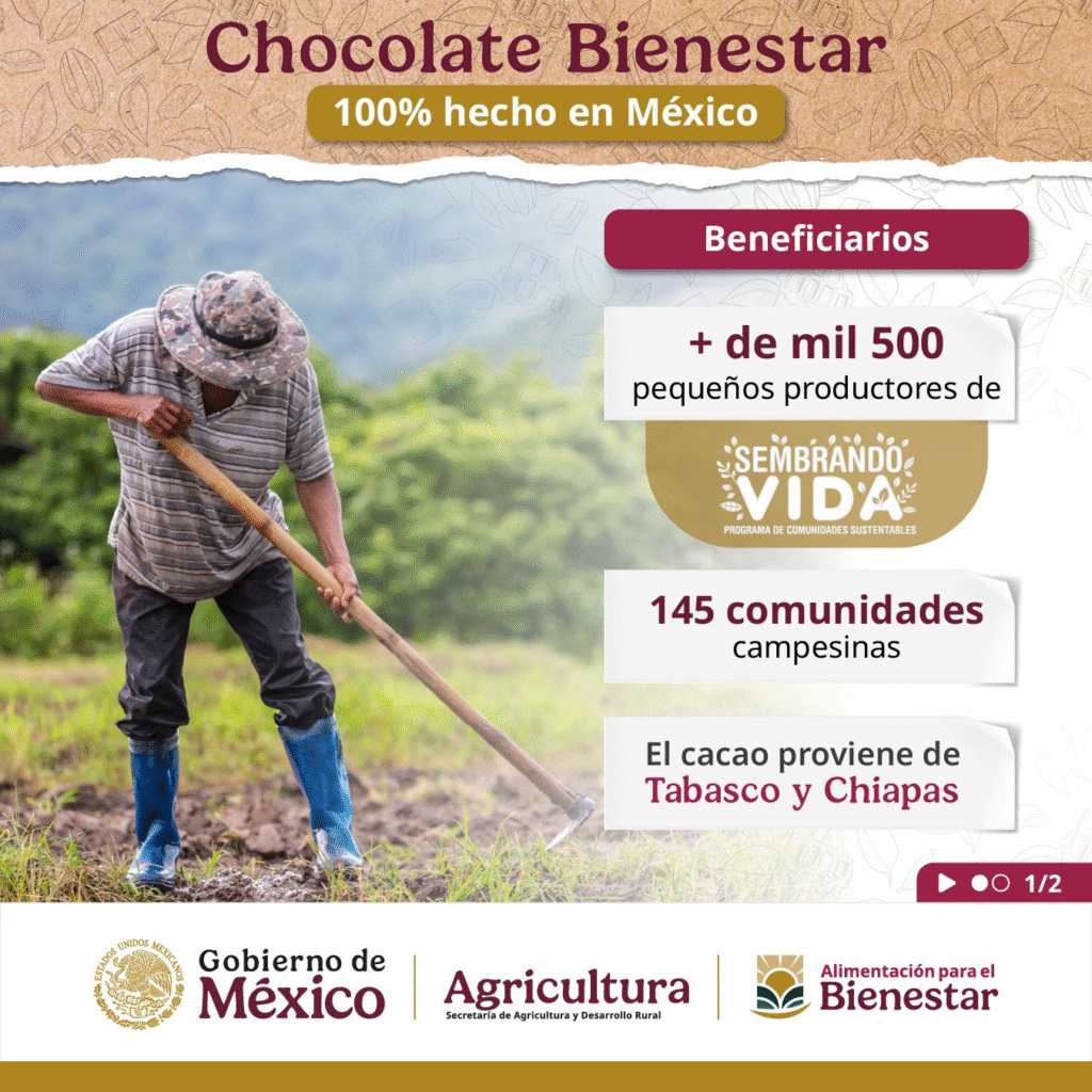 Mexican Government Introduces Wellness Chocolate - Mexico Solidarity Media